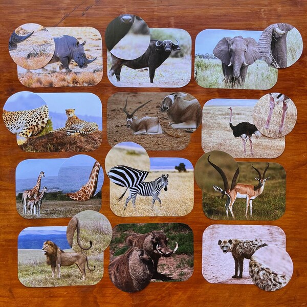 African Animals - Etsy