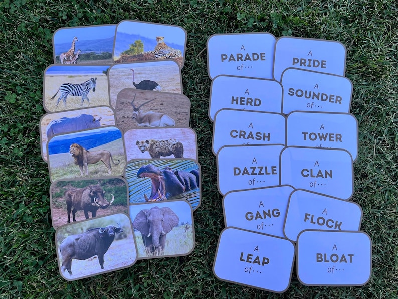 Safari, Collective Nouns, Matching Activity, Memory Game, African ...