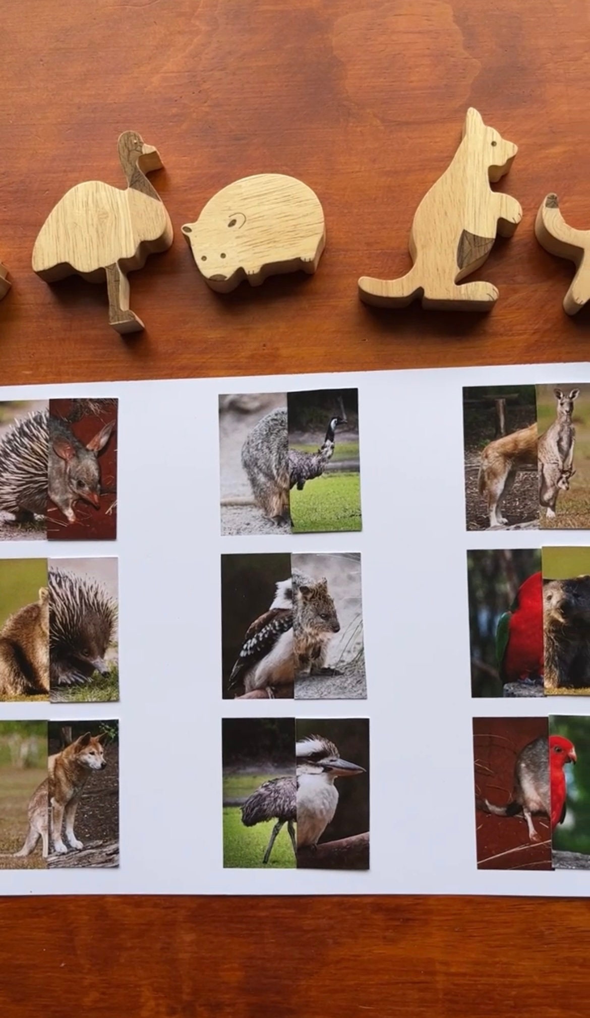 Australian Animals 2 Piece Puzzle, Matching Activity, Printable, Native ...