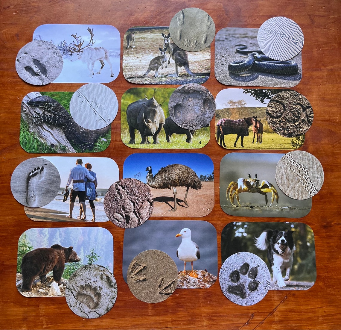Animal Footprint Matching Game, Animal Tracks, Montessori Resource ...