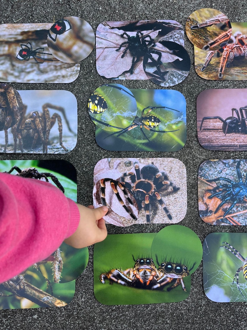 Spiders, Matching Activity, Toddler Game, Memory Game, Printable ...