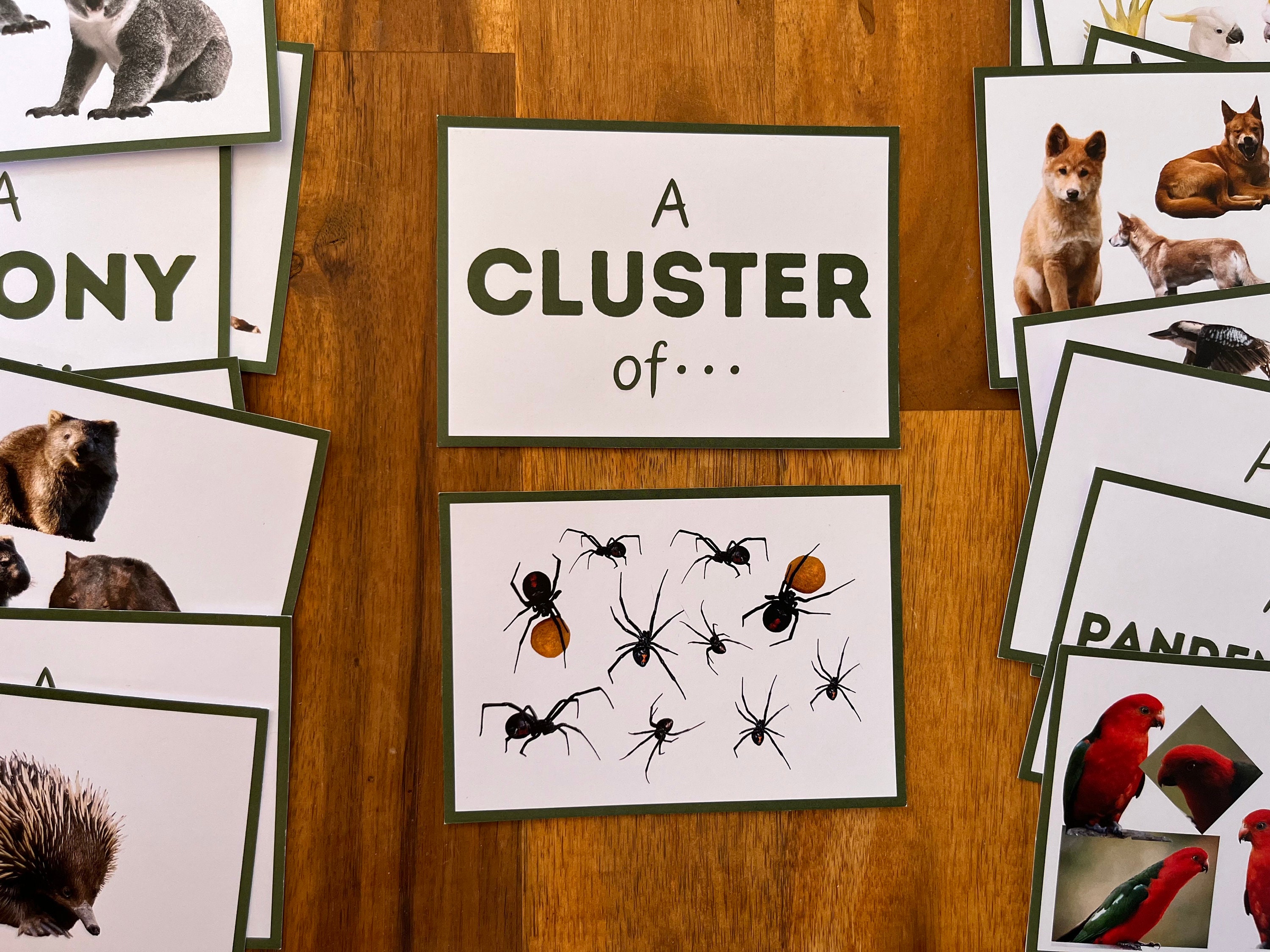 Collective Nouns, Matching Activity, Memory Game, Australian Animals ...