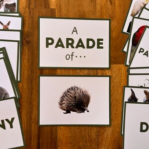 Collective Nouns, Matching Activity, Memory Game, Australian Animals ...