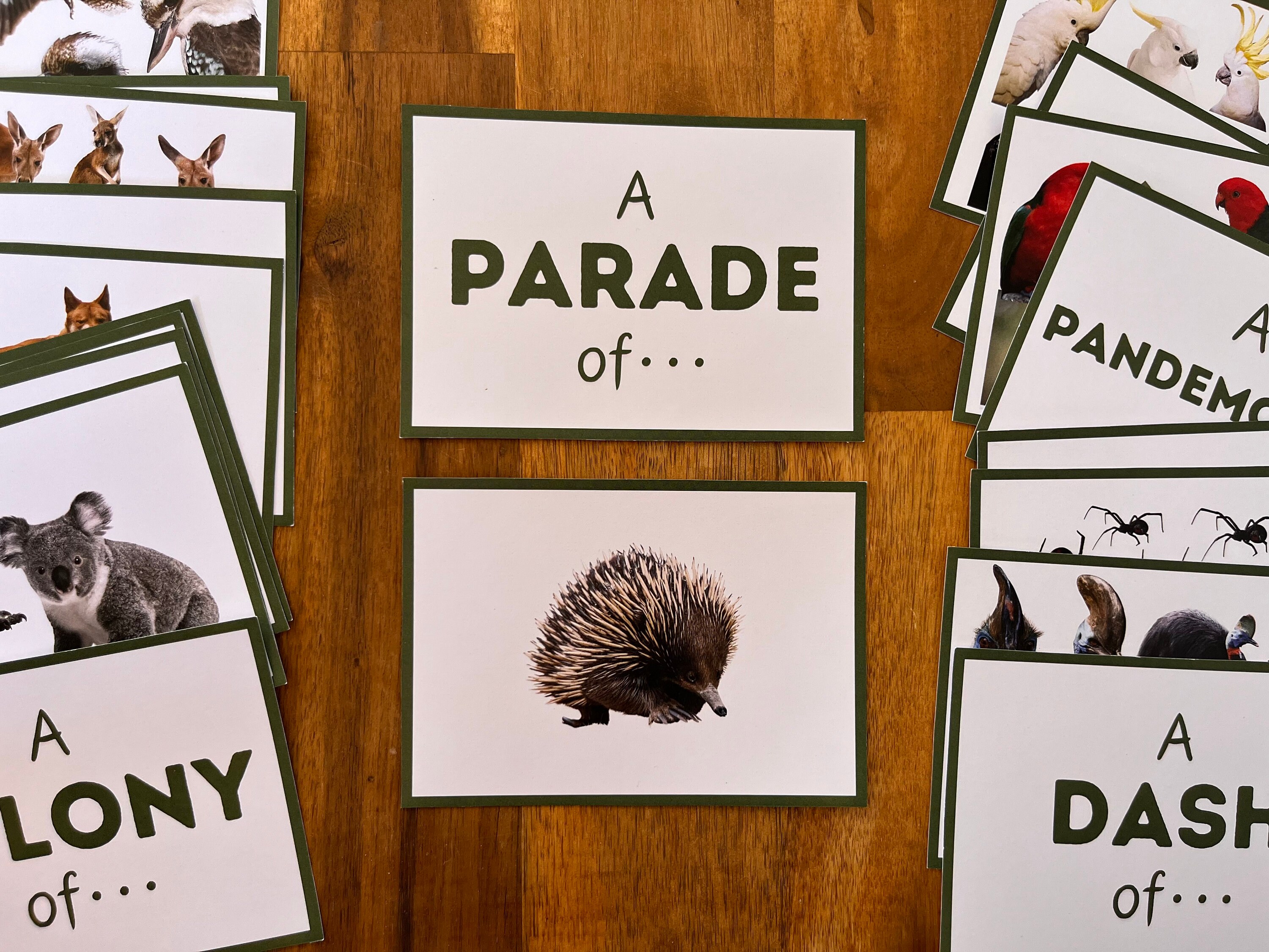 Collective Nouns, Matching Activity, Memory Game, Australian Animals ...