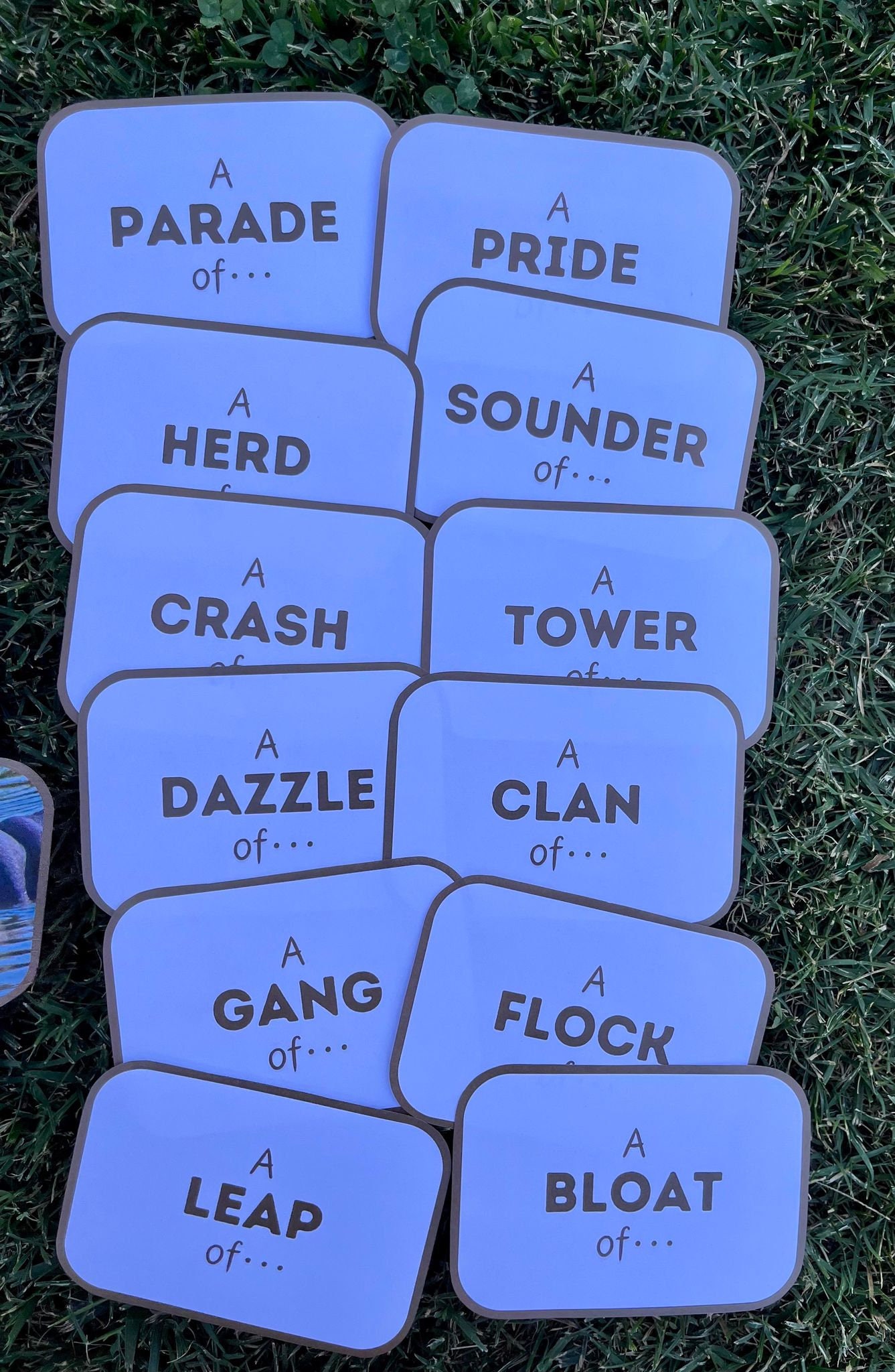 Safari, Collective Nouns, Matching Activity, Memory Game, African ...