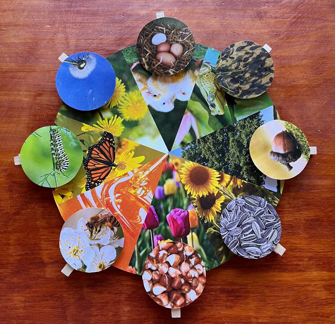 Nature Before and After, Montessori Resource, Homeschool, Toddler ...