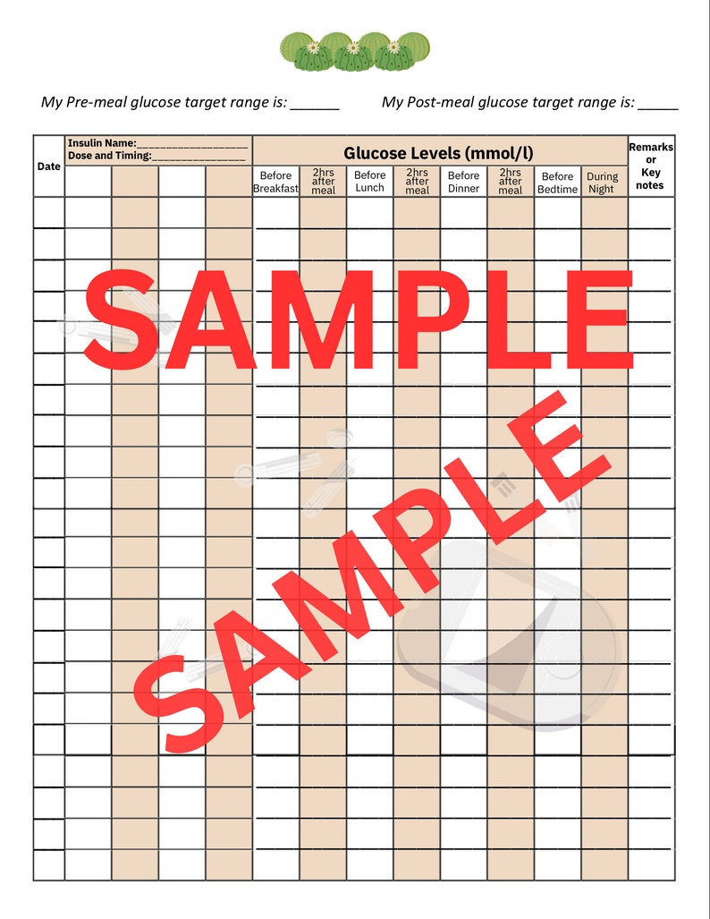 1-YEAR Diabetes Log Book - Printable Blood Glucose Diary (with Insulin ...