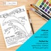 Florida State Symbols Coloring Pages | Printable Coloring USA Facts - Etsy
