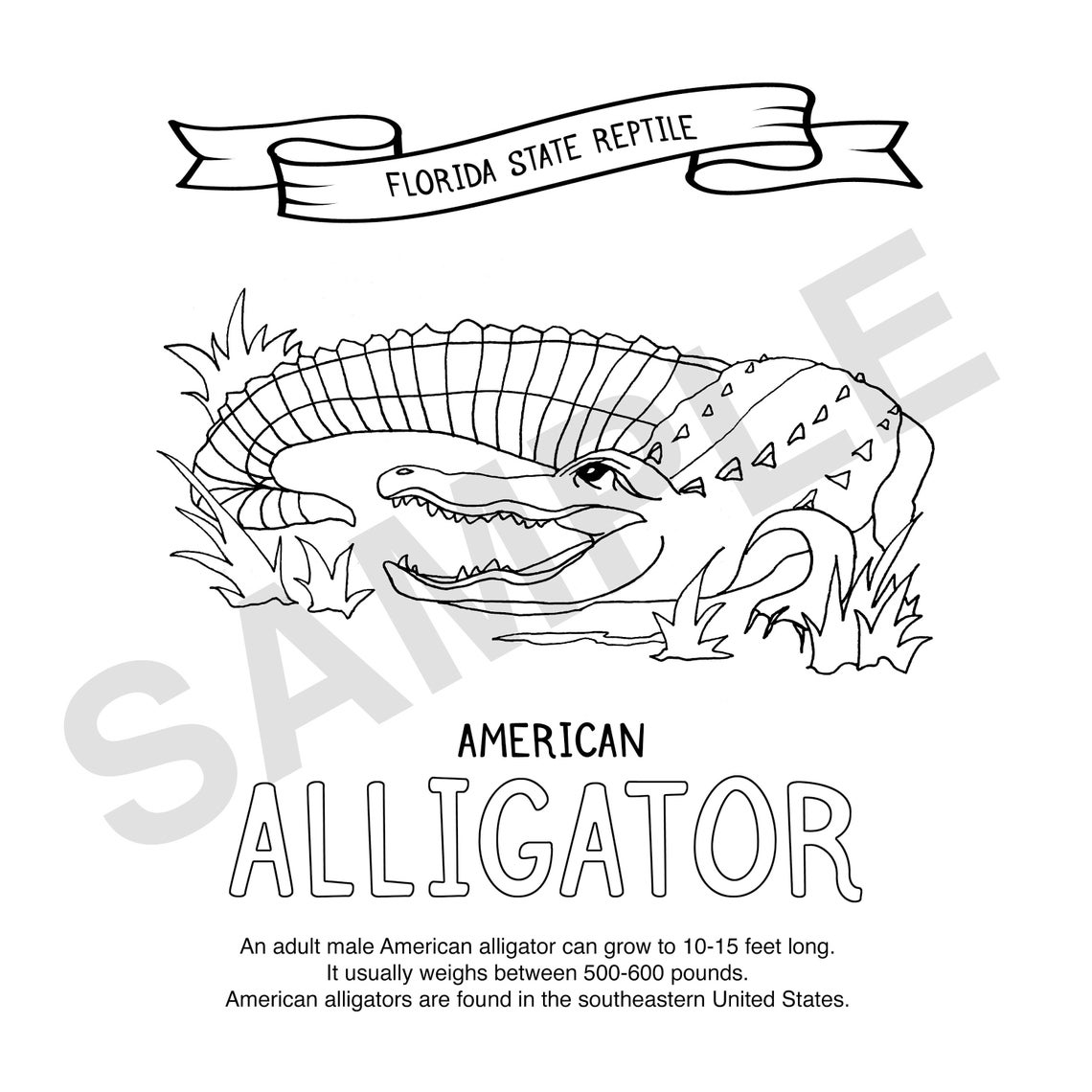 Florida State Symbols Coloring Pages | Printable Coloring USA Facts - Etsy