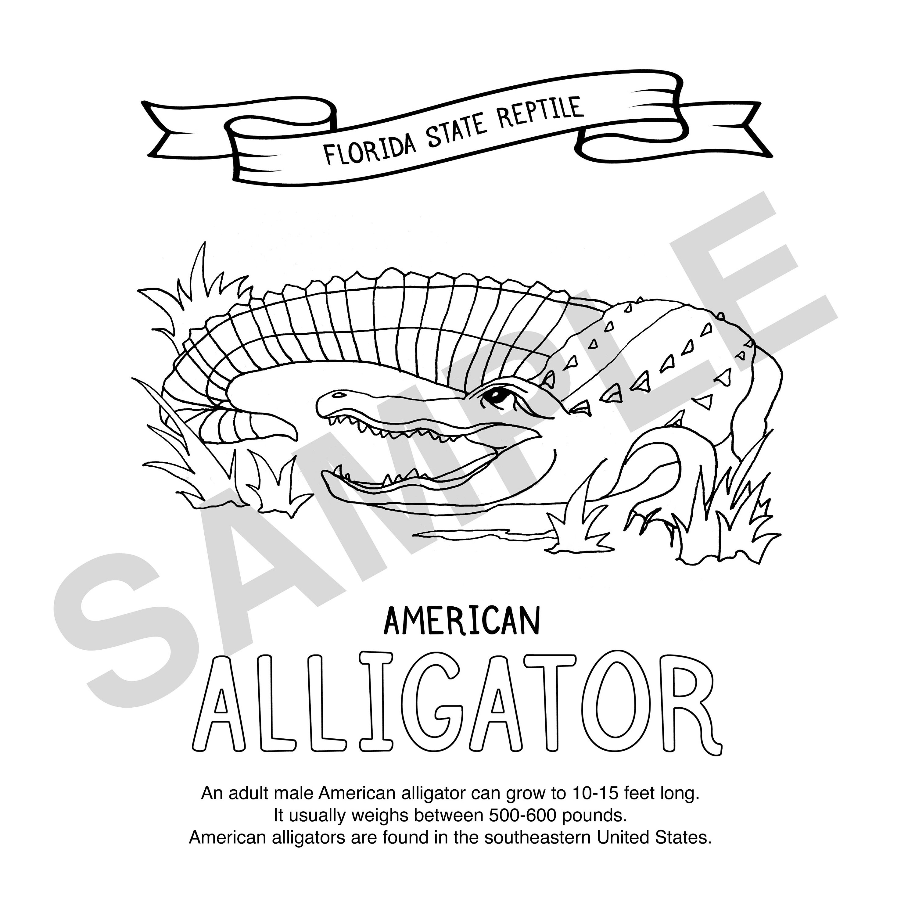 Florida State Symbols Coloring Pages | Printable Coloring USA Facts - Etsy