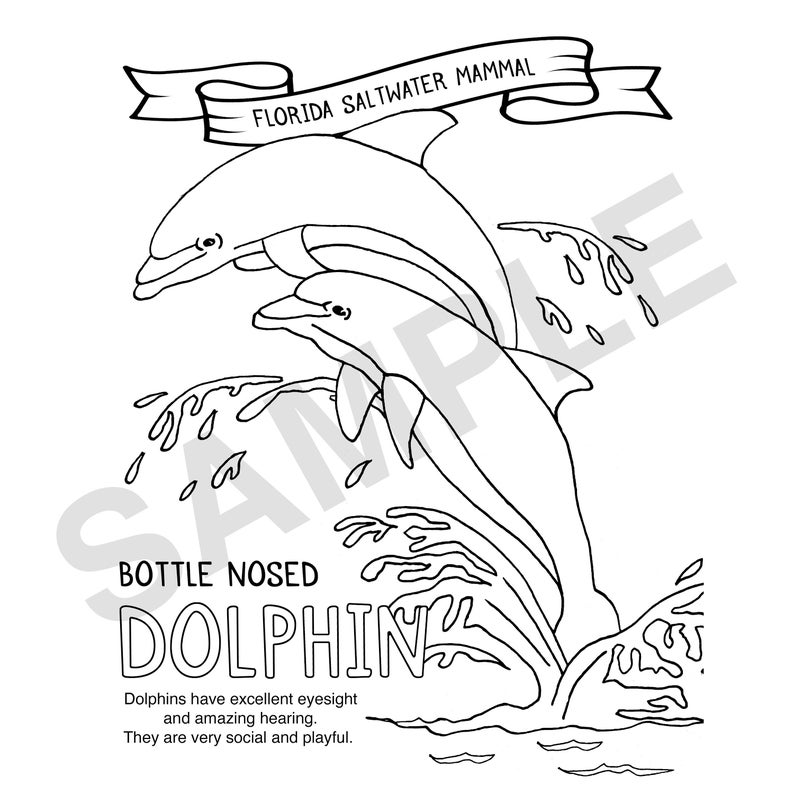 Florida State Symbols Coloring Pages | Printable Coloring USA Facts - Etsy