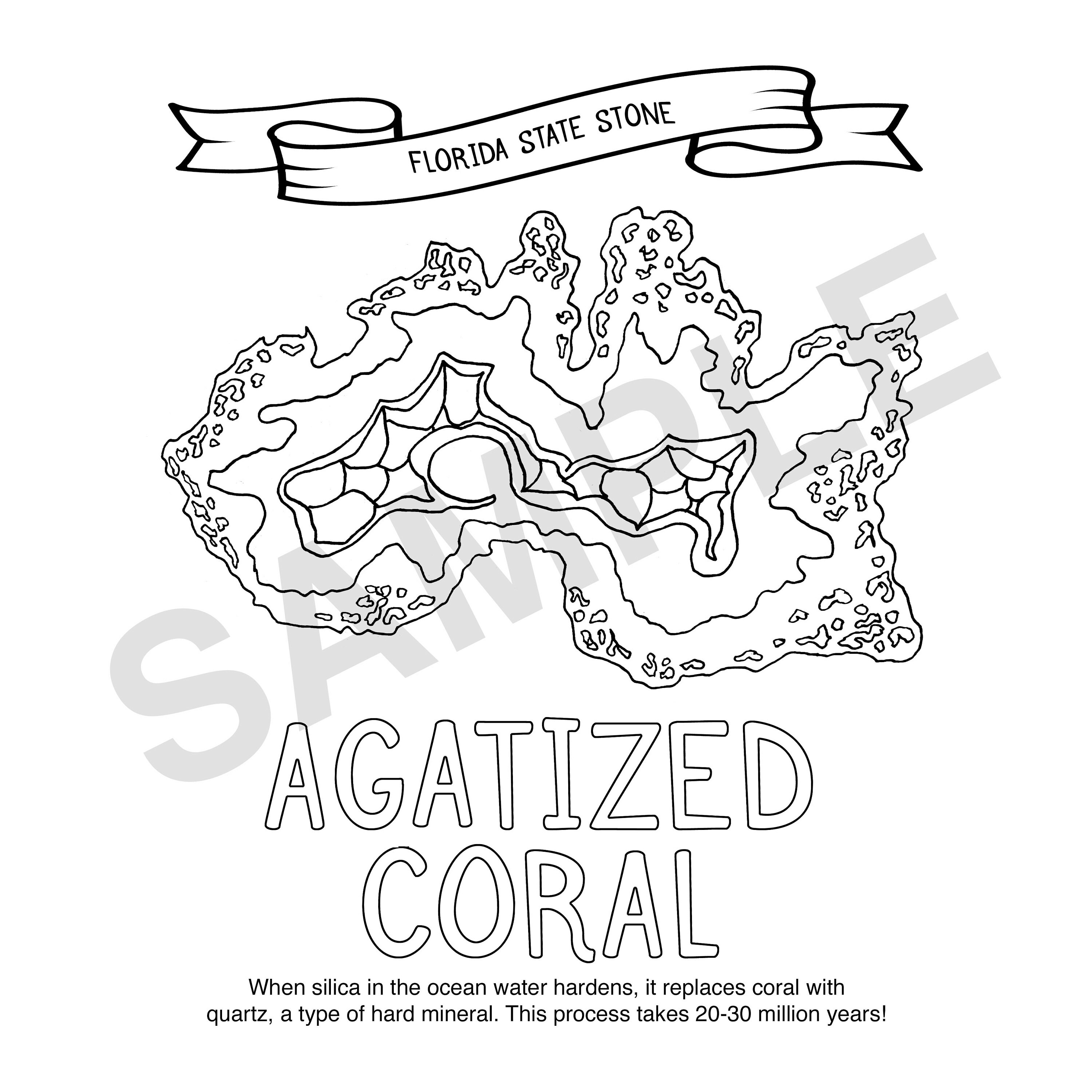 Florida State Symbols Coloring Pages | Printable Coloring USA Facts - Etsy