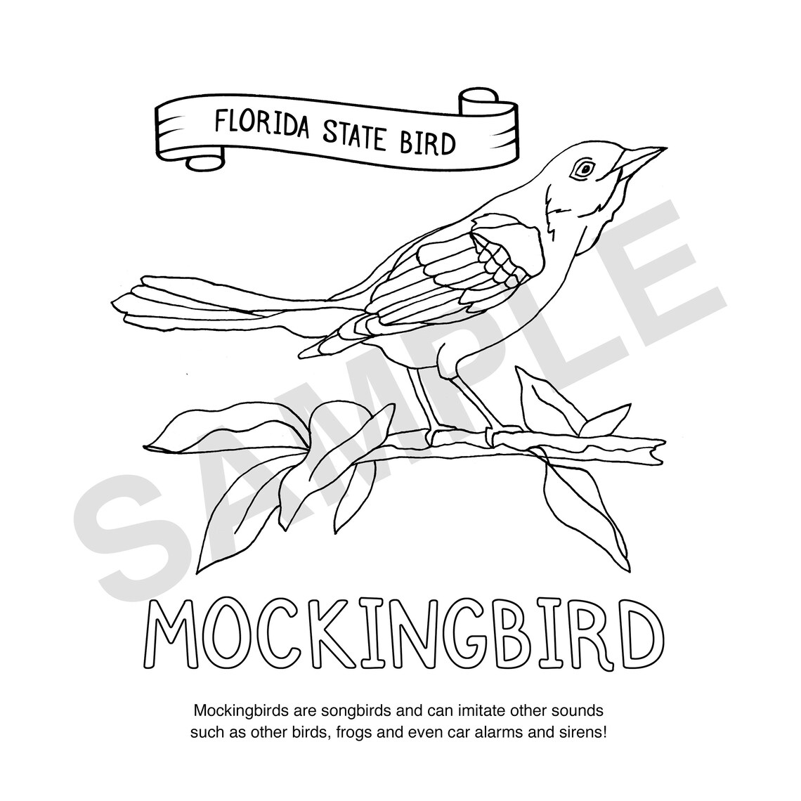 Florida State Symbols Coloring Pages | Printable Coloring USA Facts - Etsy