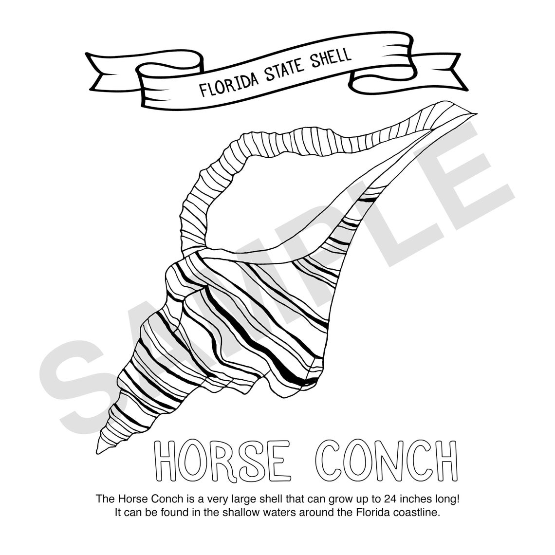 Florida State Symbols Coloring Pages | Printable Coloring USA Facts - Etsy