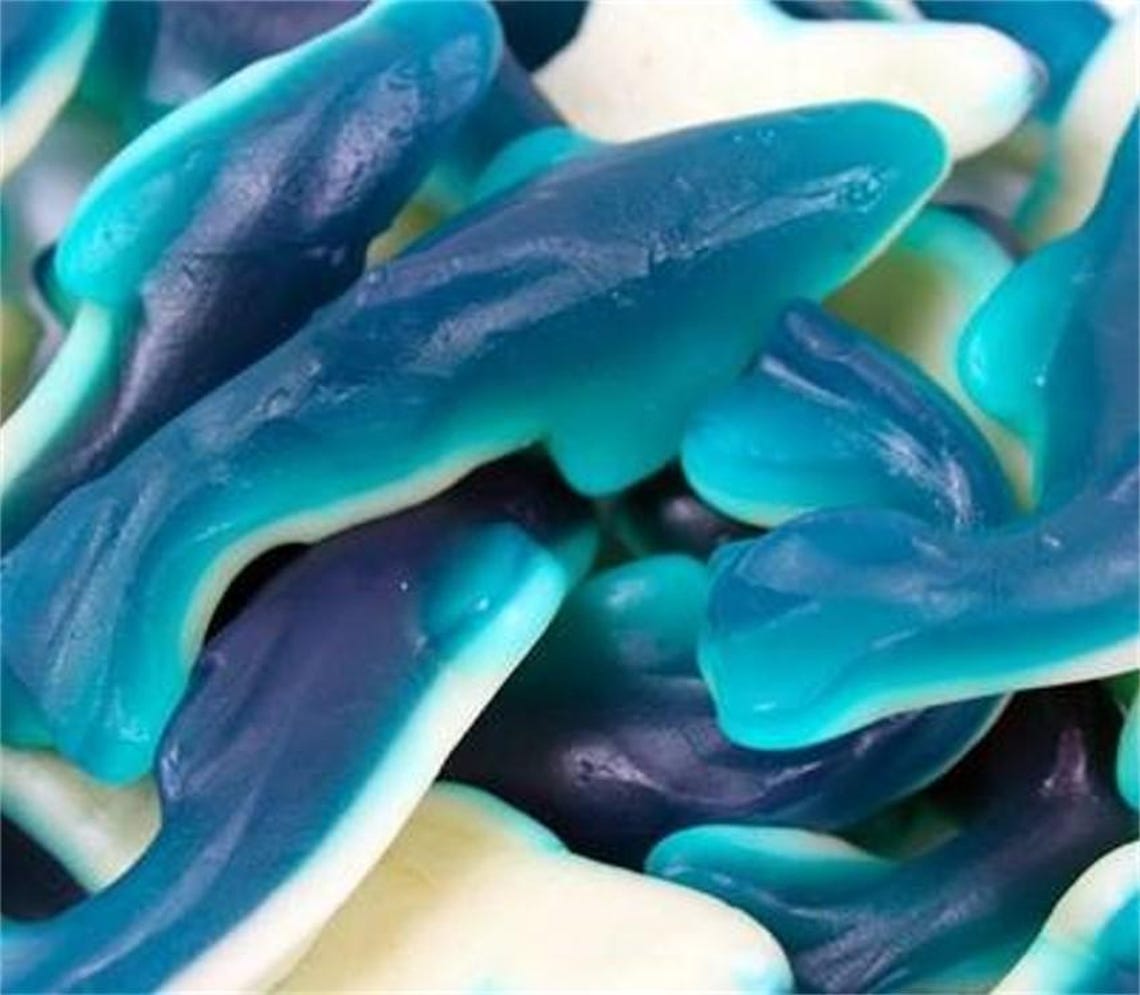 Blue Gummy Sharks Bulk Gummies Candy Gift - Etsy
