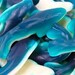 Blue Gummy Sharks Bulk Gummies Candy Gift - Etsy
