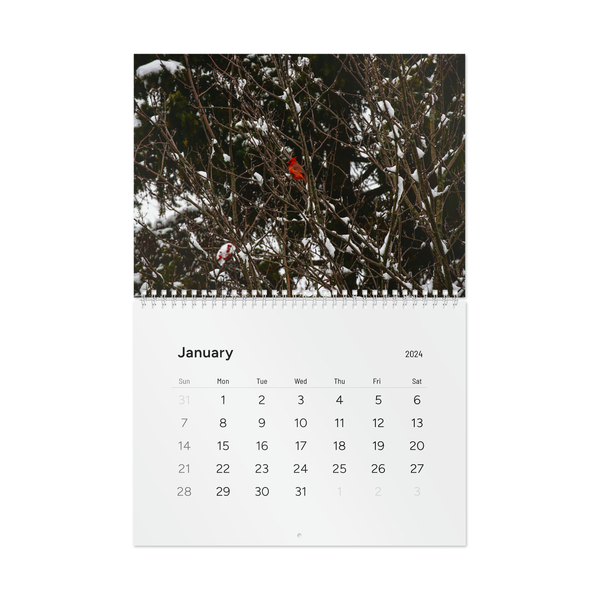 2024 Landscape Wall Calendar Landscape Photography Landscape Ontario ...