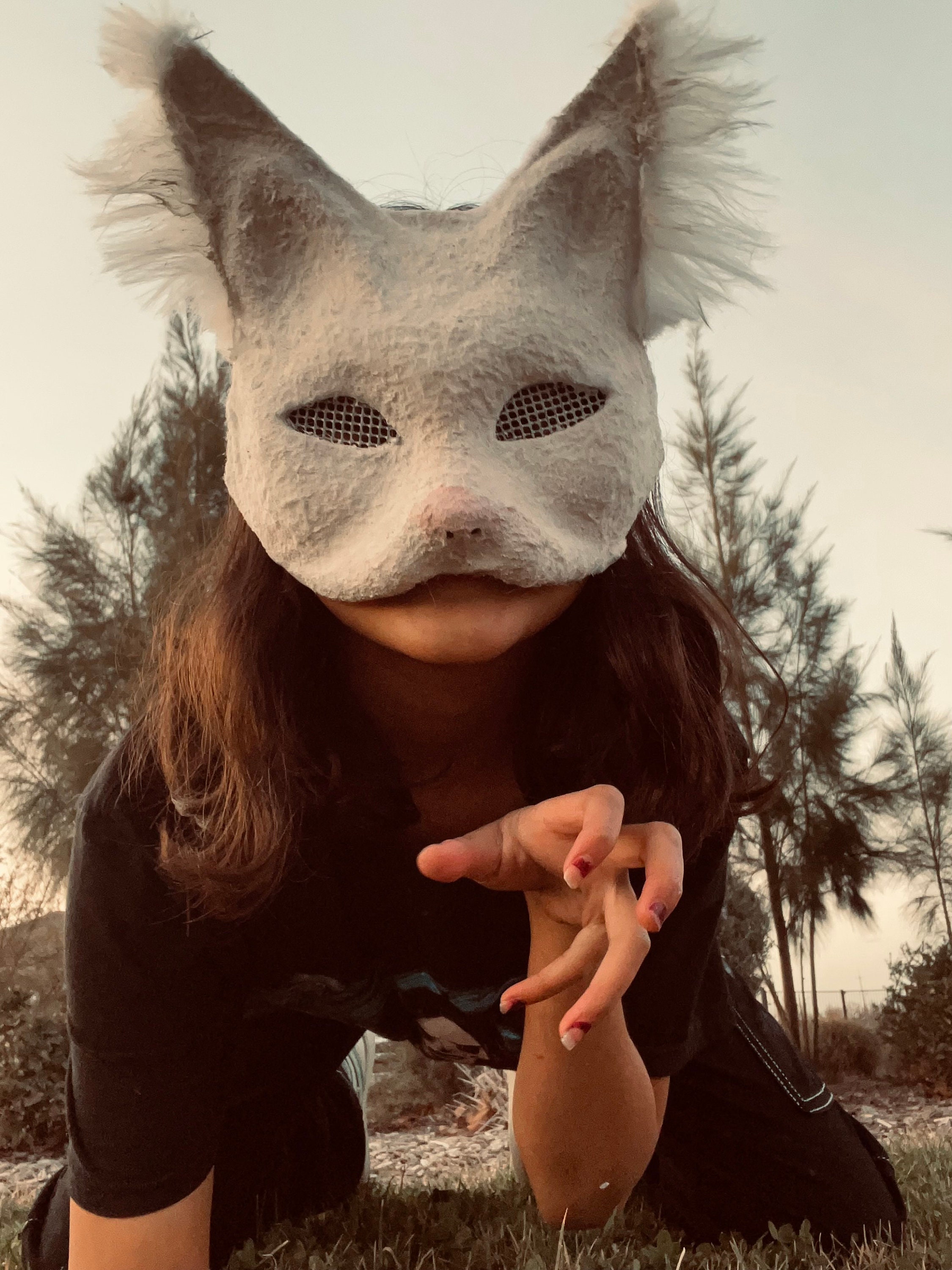 Albino Maine Coon Cat Animal Mask - Etsy