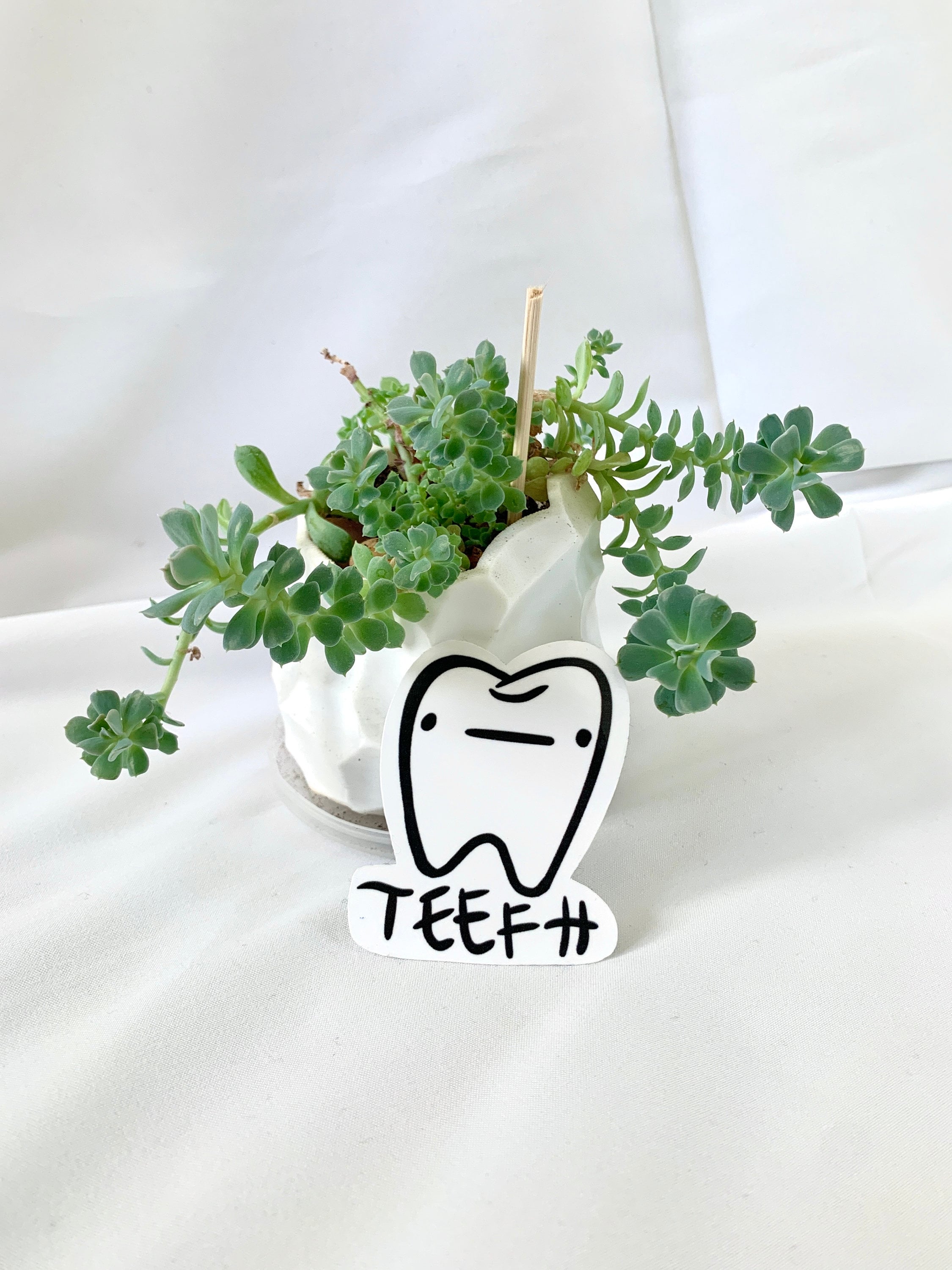 Dental Sticker Pack - Etsy