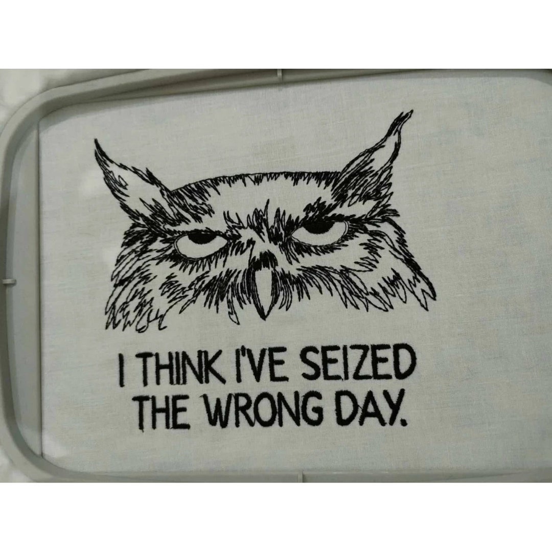 Seized the Wrong Day Grumpy Owl Funny Owl Quote Bad Day Quote Machine ...