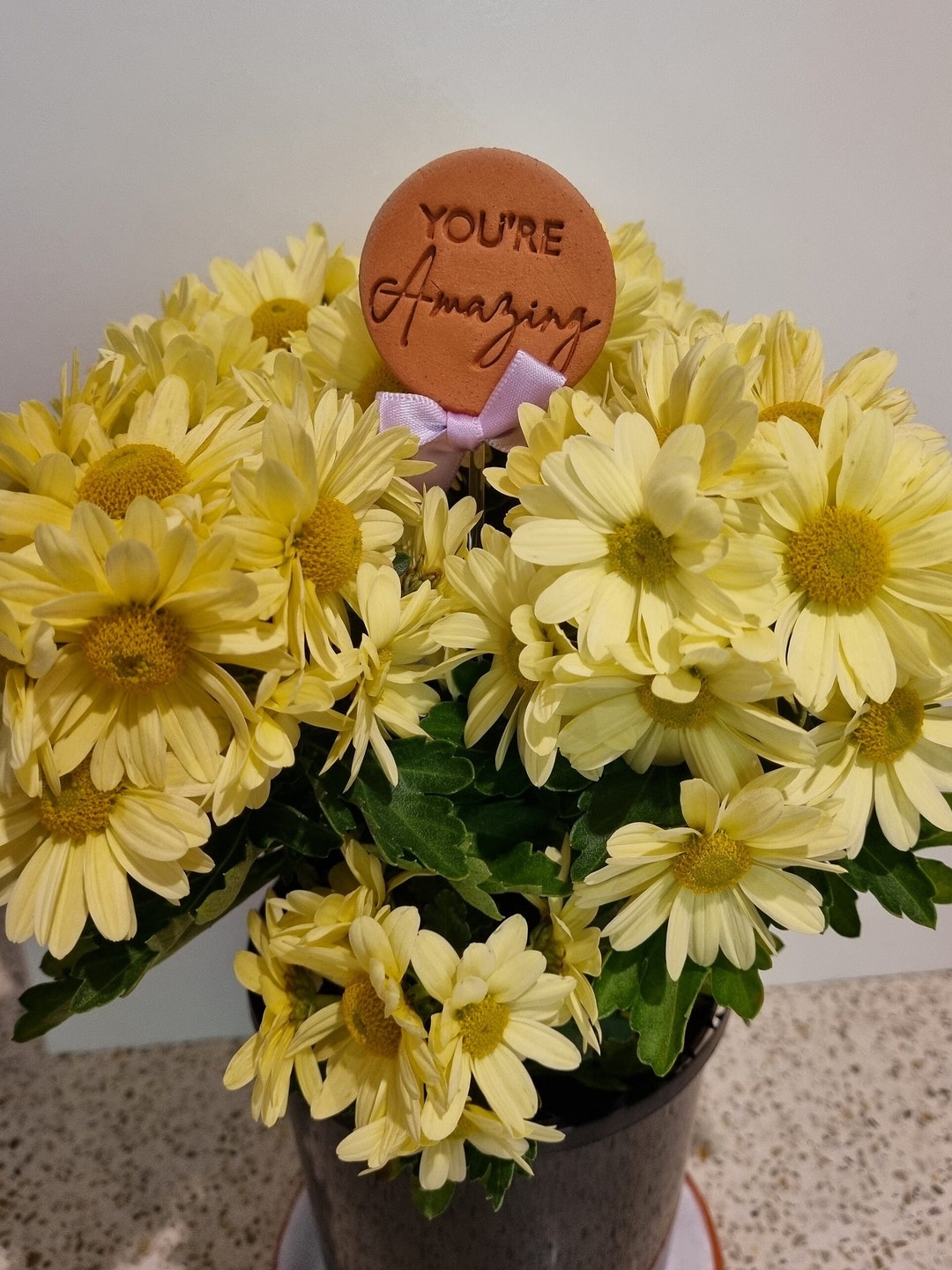 Pot Plant Label, Plant Sign, You're Amazing Label, Handmade, Pottery ...