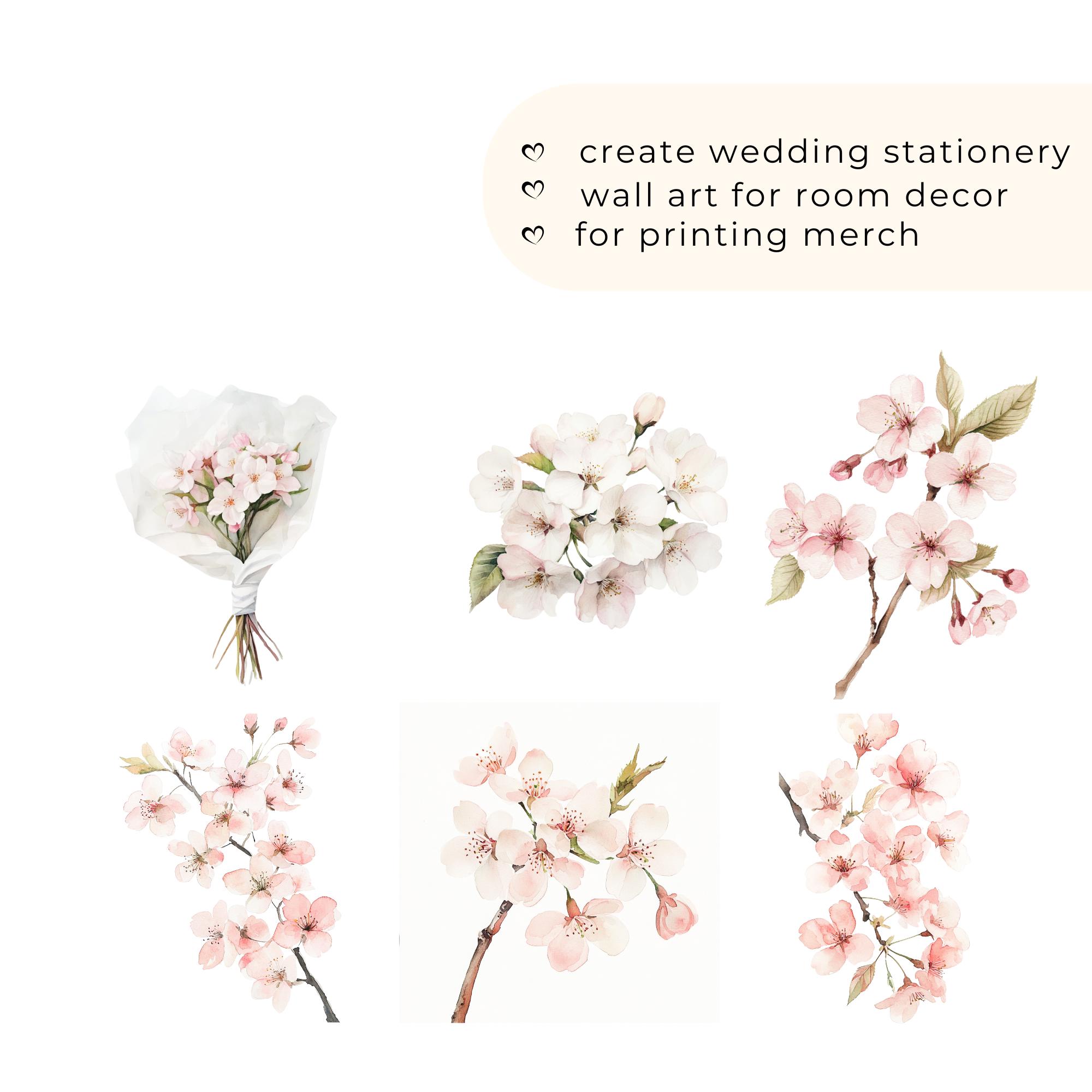 Watercolor Cherry Blossom Clipart, Sakura Spring Clipart, Sakura ...