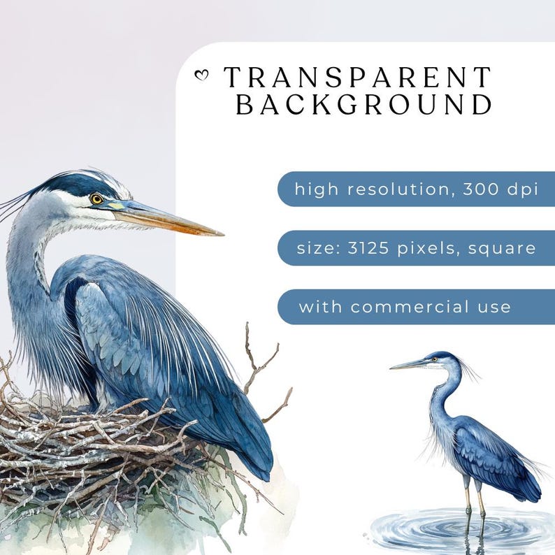 Blue Heron Clipart, Bird Wildlife Clipart, Watercolor Clipart, Bird ...