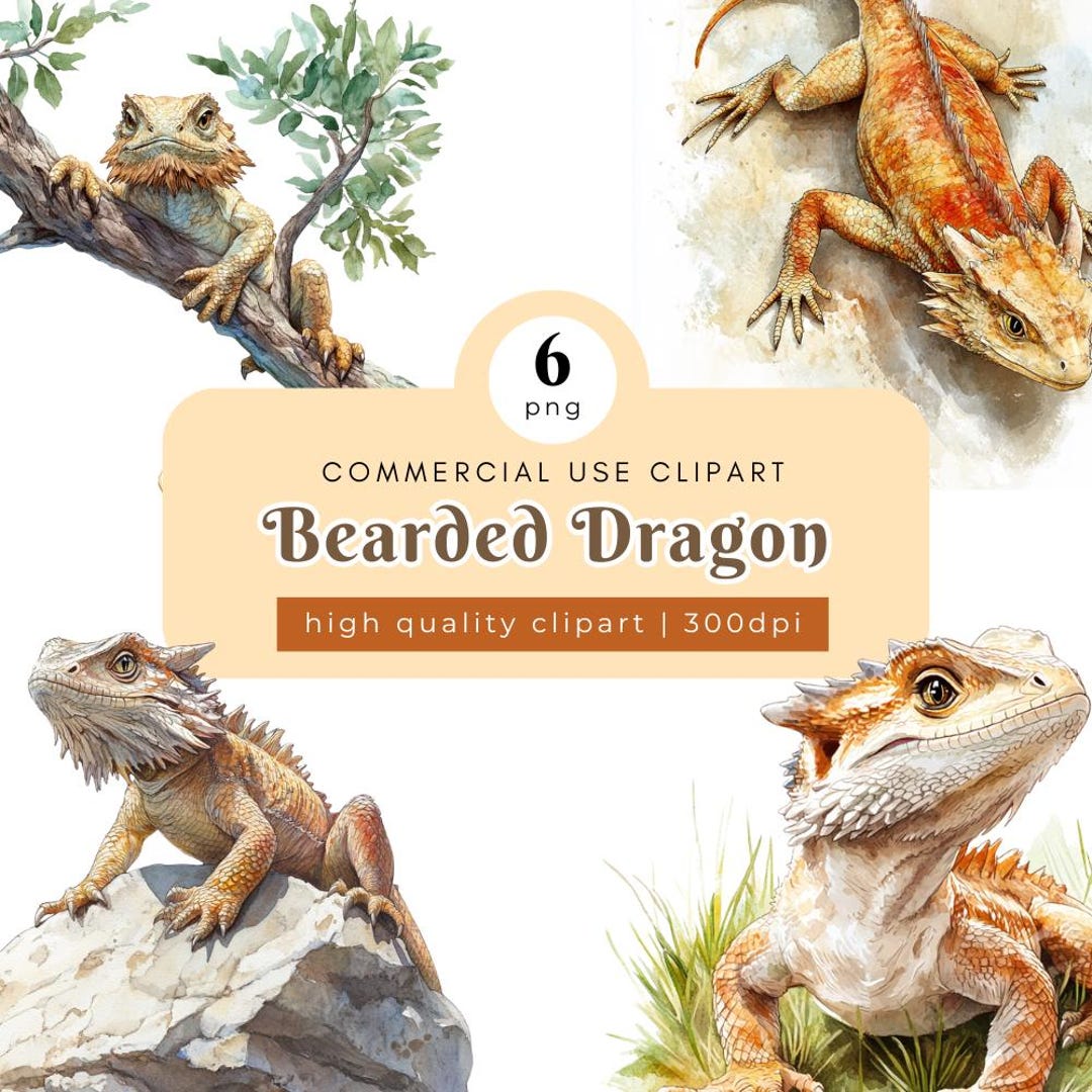 Bearded Dragon Clipart, Reptile Clipart, Wild Animal Clipart, Zoo ...