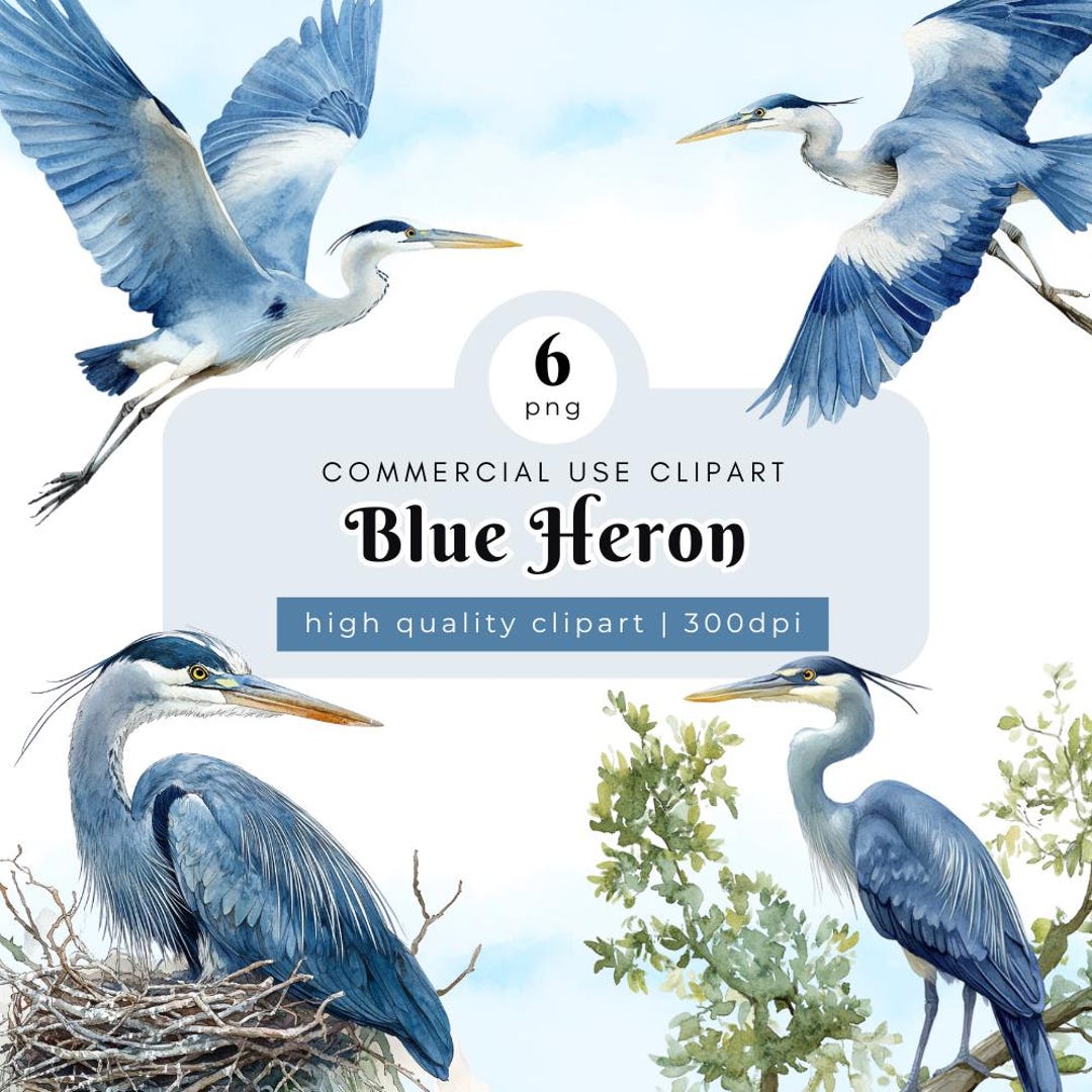 Blue Heron Clipart, Bird Wildlife Clipart, Watercolor Clipart, Bird ...