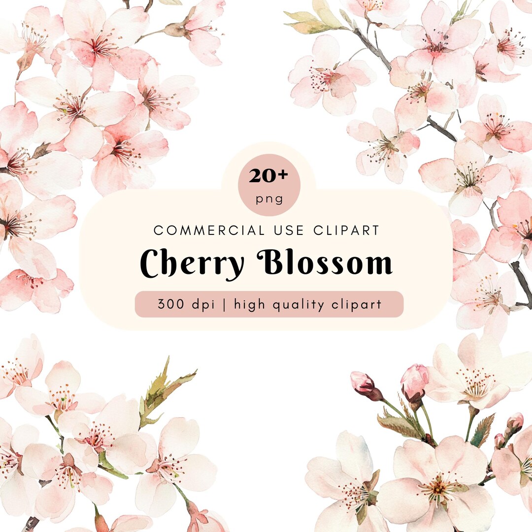 Watercolor Cherry Blossom Clipart, Sakura Spring Clipart, Sakura ...