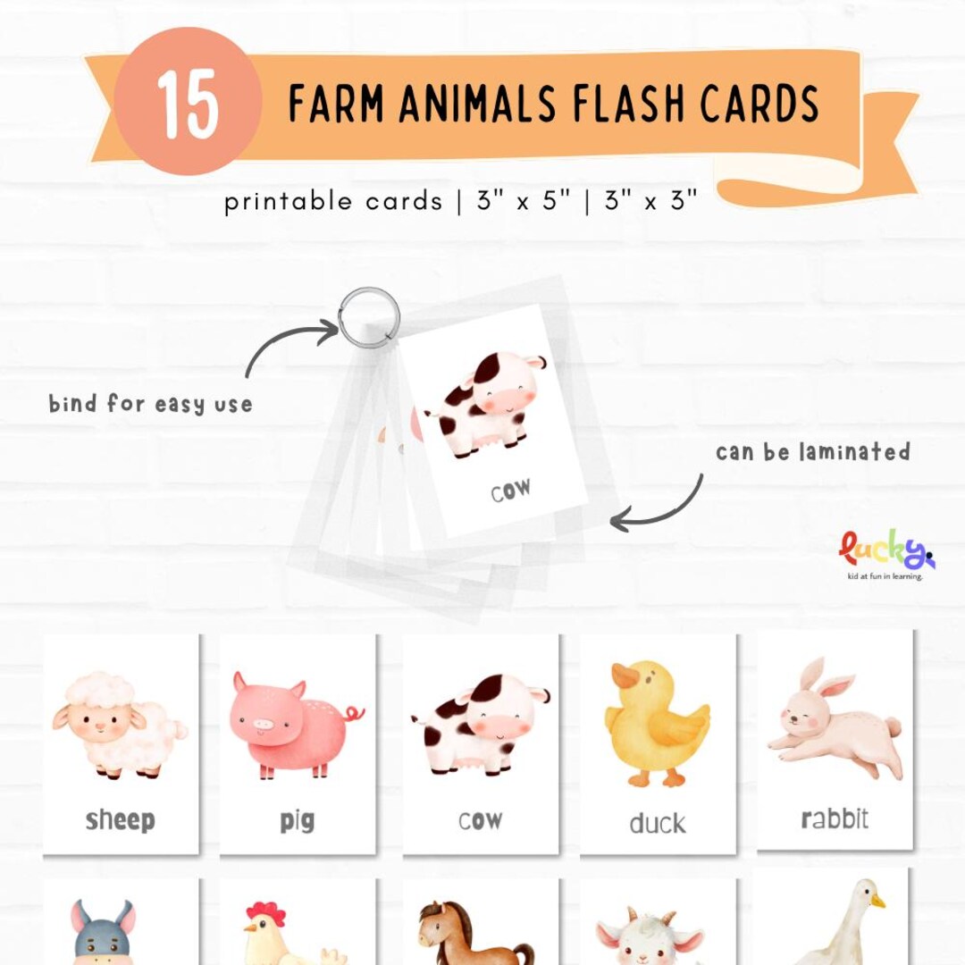 Farm Animals Flash Card, Pet Flash Cards, Animal Flash Cards,child ...