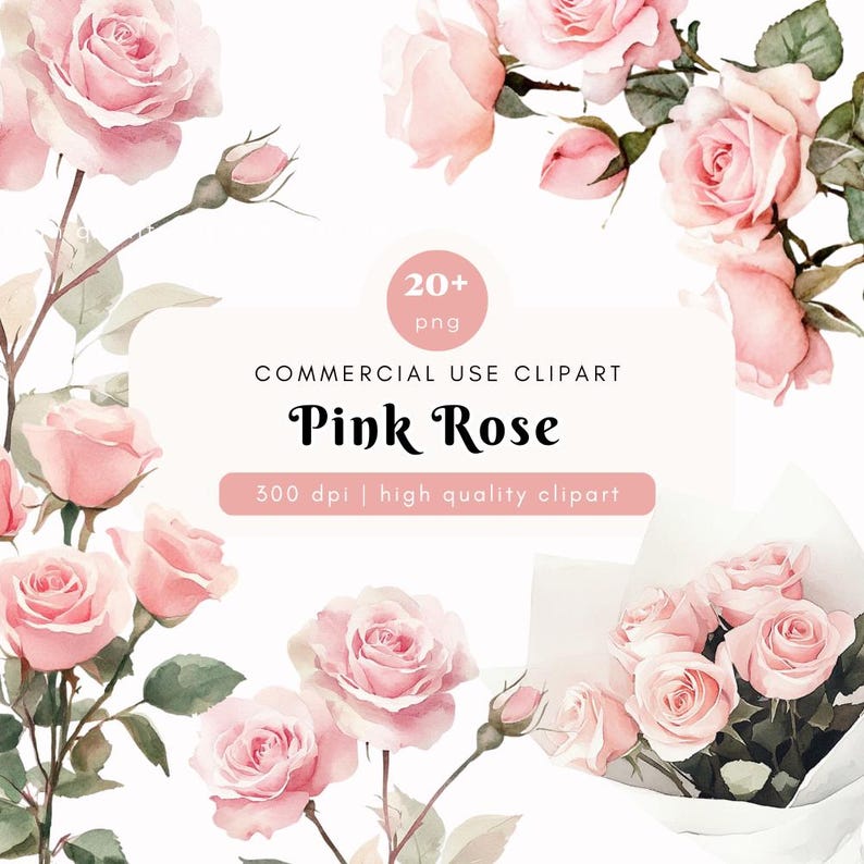 Watercolor Pink Rose Clipart, Pink Rose, Watercolor Flower Clipart ...