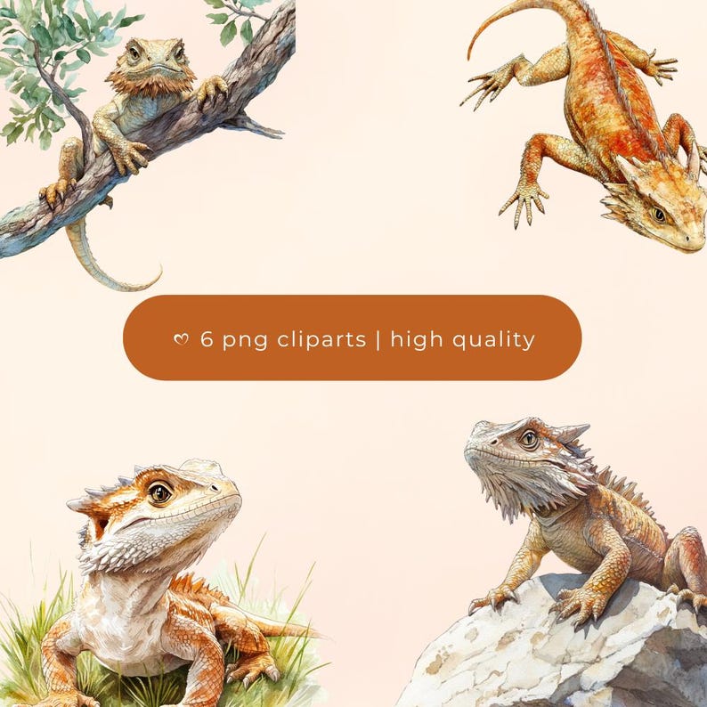 Bearded Dragon Clipart, Reptile Clipart, Wild Animal Clipart, Zoo ...