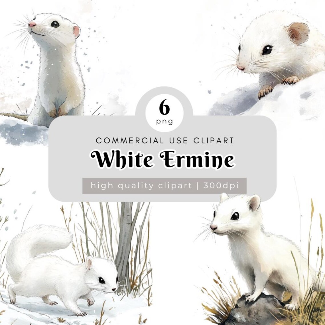 White Ermine Clipart, Stoat Clipart, Mountain Ermine Clipart, Animal ...