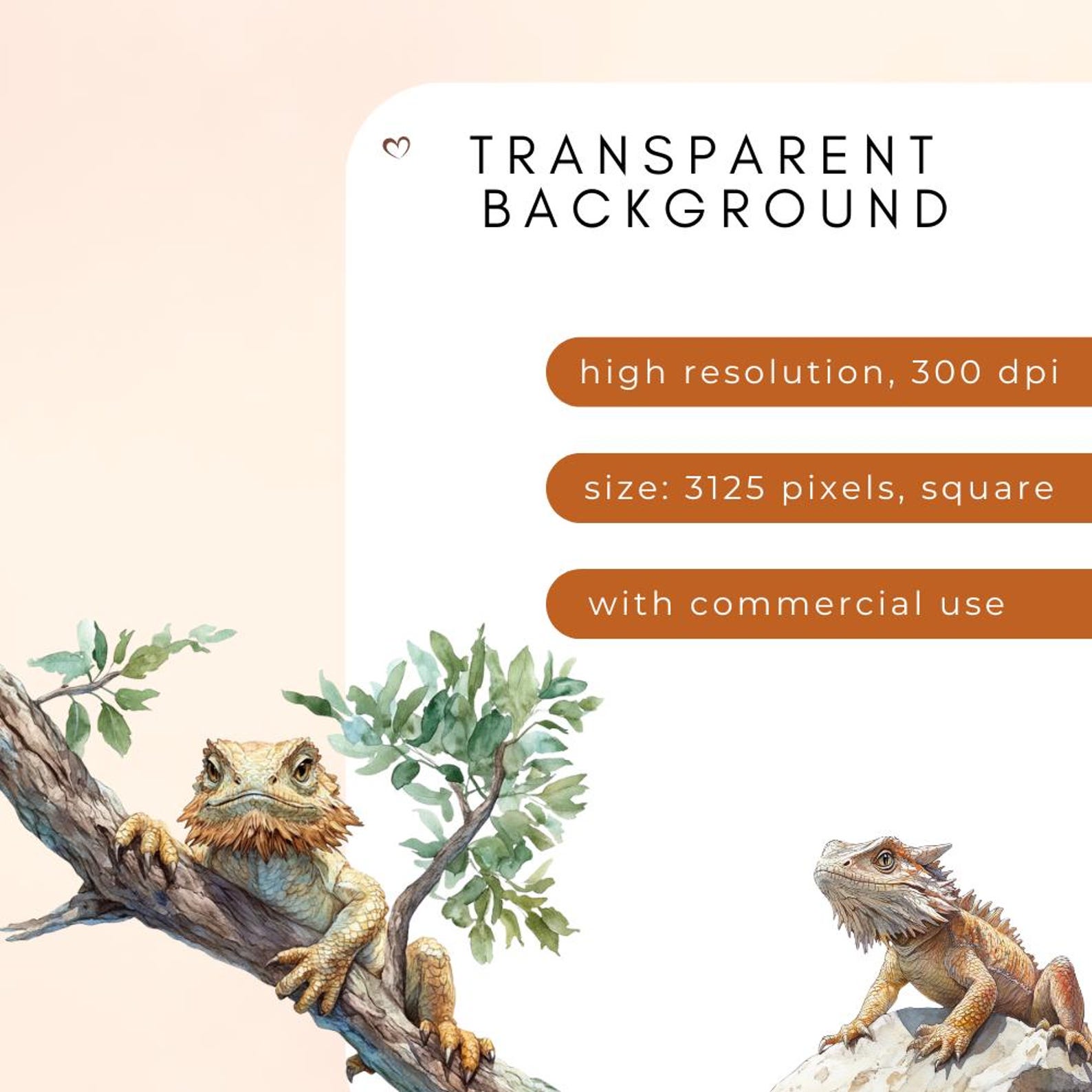 Bearded Dragon Clipart, Reptile Clipart, Wild Animal Clipart, Zoo ...
