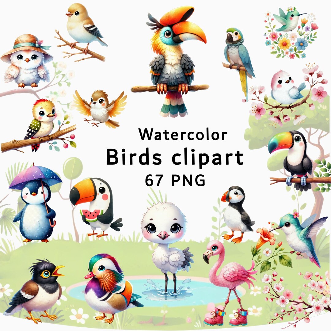Watercolor Birds PNG Clipart Bundle, Hand Painted Bird Illustrations ...