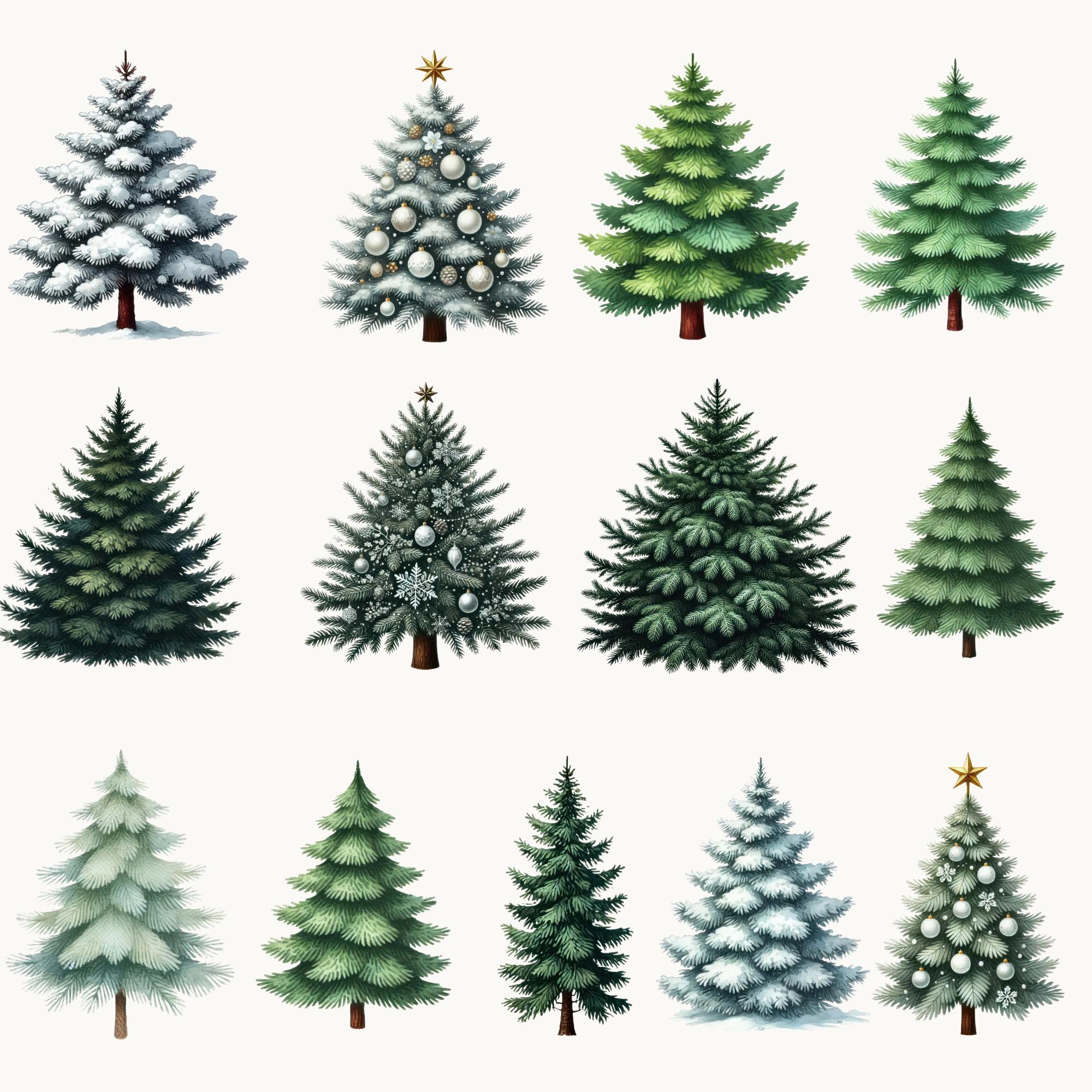 Watercolor Christmas Trees Clipart Bundle, Christmas Trees Digital ...