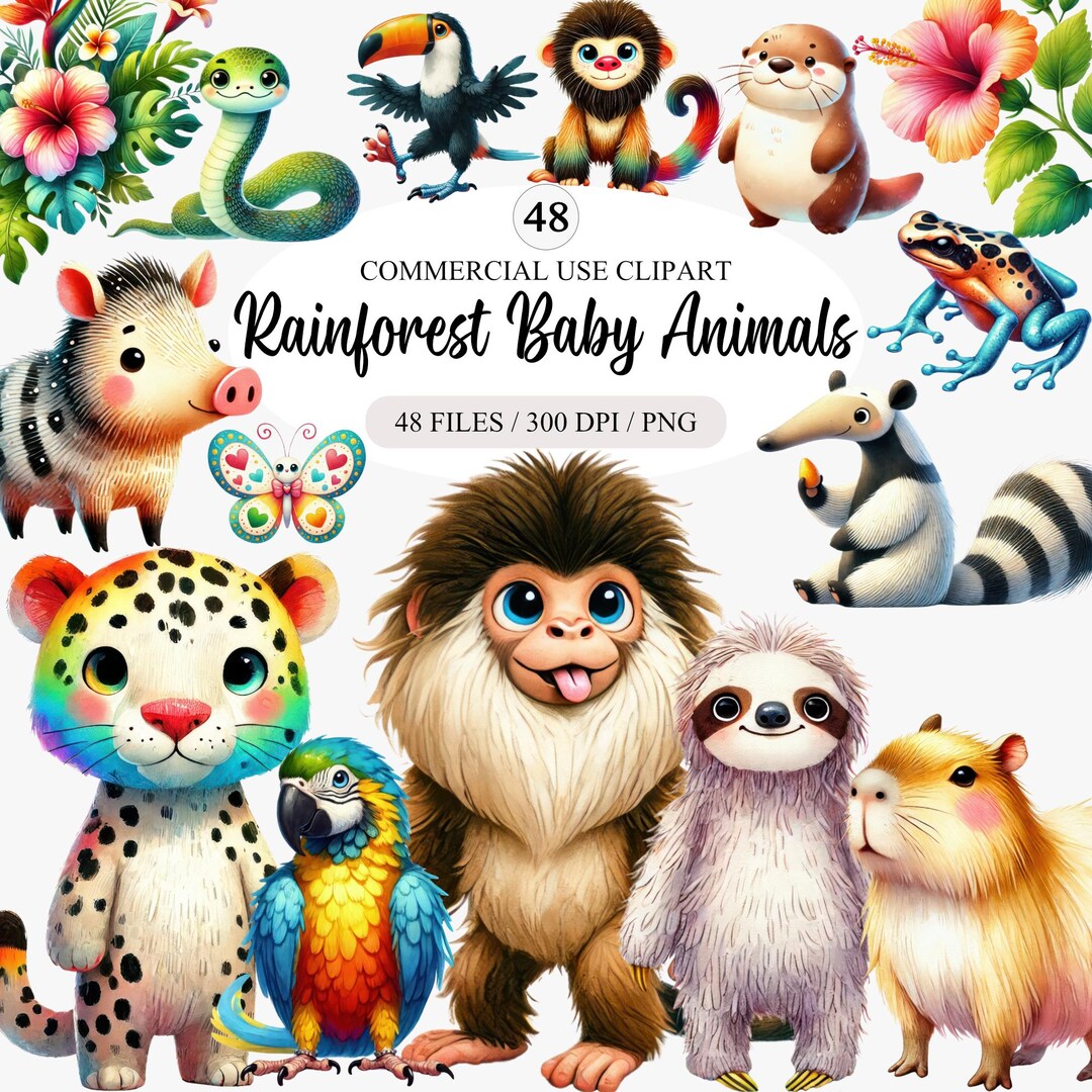 Rainforest Baby Animals Clipart, Boho Rainforest Nursery Animals Wall ...