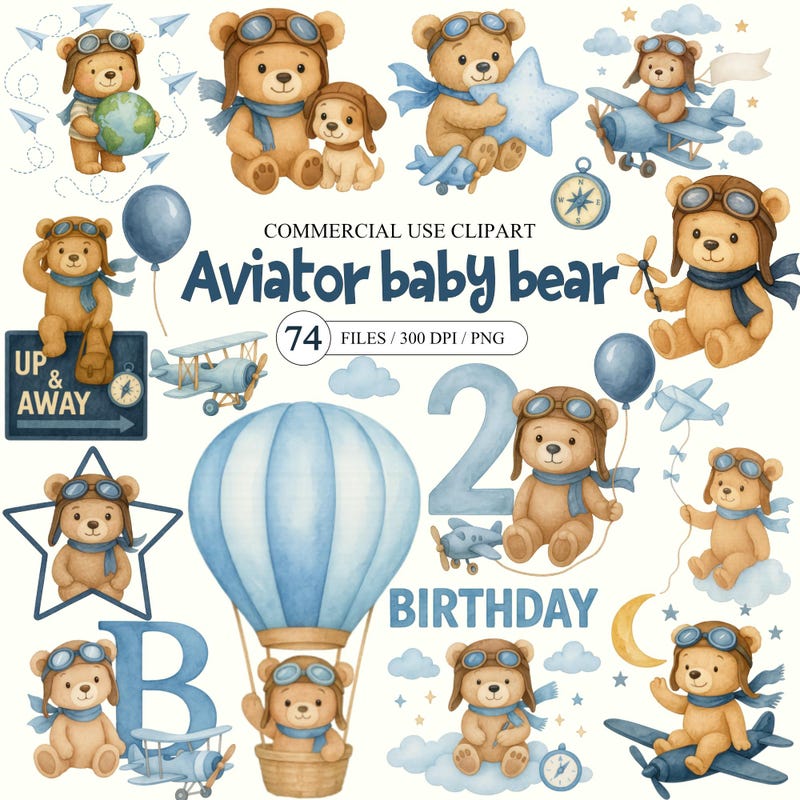 Bear Aviator Baby Shower - Etsy