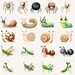 Bug and Insect Clipart Bundle, Nature-inspired Digital Art, Creepy ...