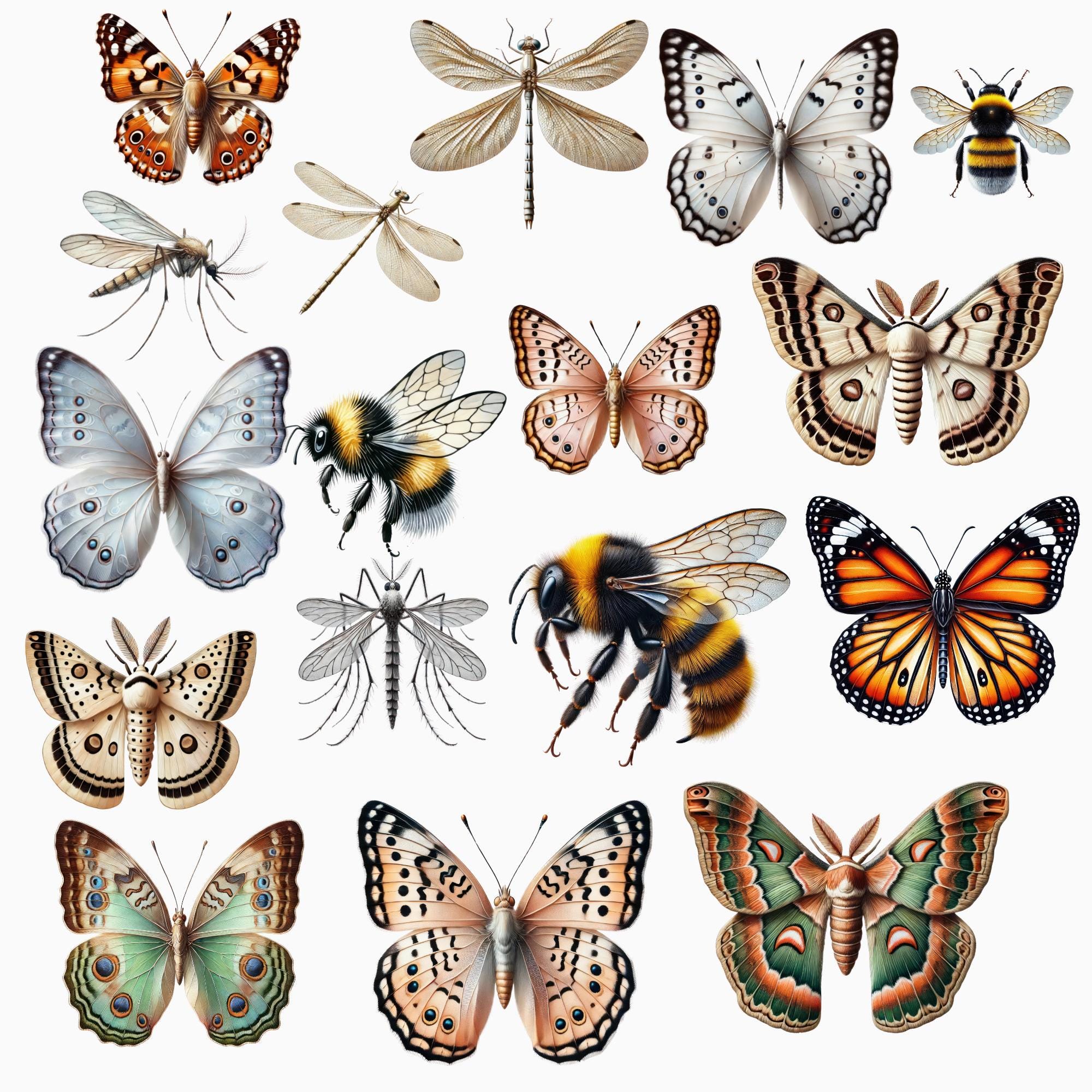 Vintage Bugs Clipart, Antique Insect Clipart, Insects Watercolor ...