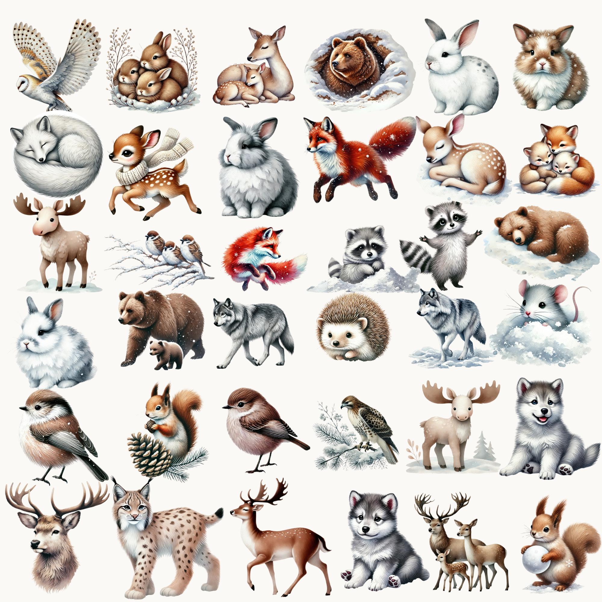 Winter Woodland Clipart PNG, Watercolor Winter Animals Clipart ...