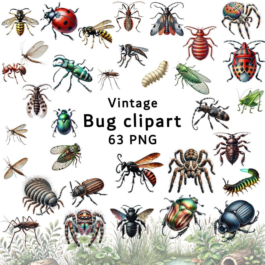 Vintage Bug Clipart, Watercolor Insect Clipart, Botanical Bug Digital ...