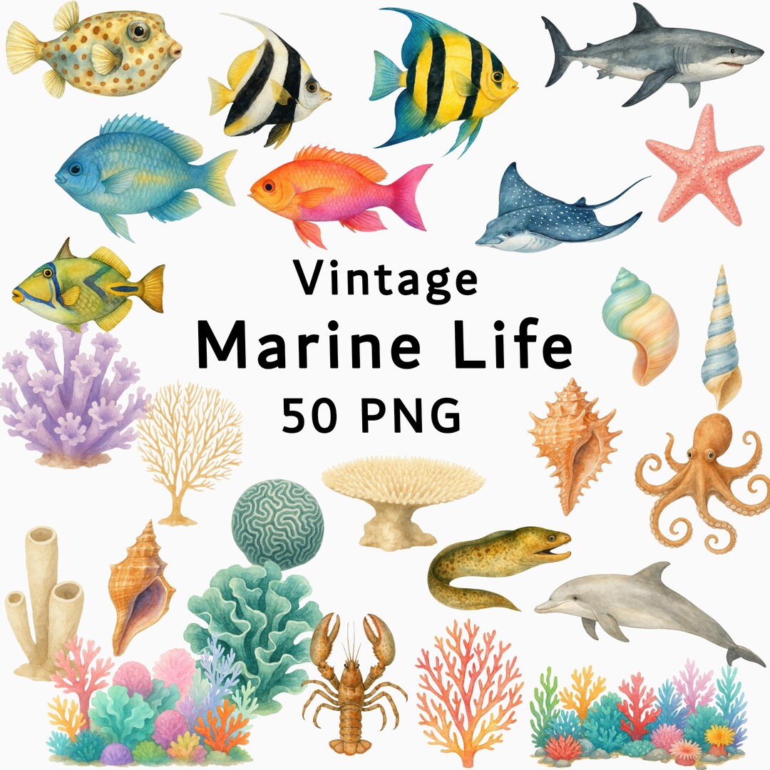 Vintage Marine Life Clipart, Under the Sea Adventure Clipart, Ocean ...