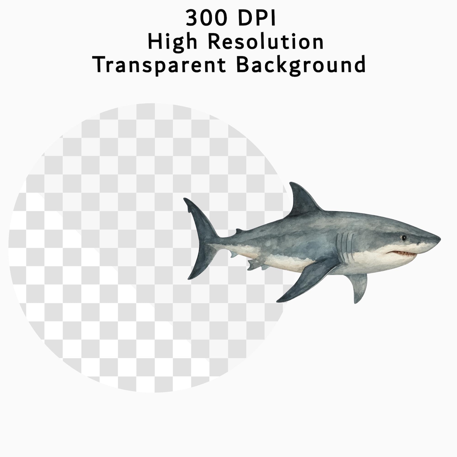 Watercolor Marine Life Clipart: Vintage Ocean Animals (PNG) - Etsy