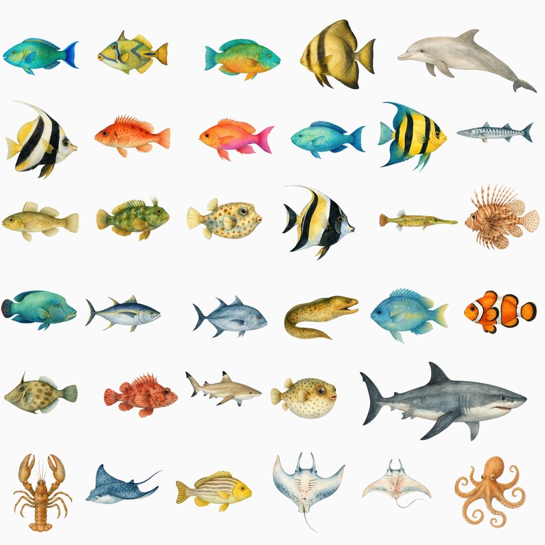 Watercolor Marine Life Clipart: Vintage Ocean Animals (PNG) - Etsy