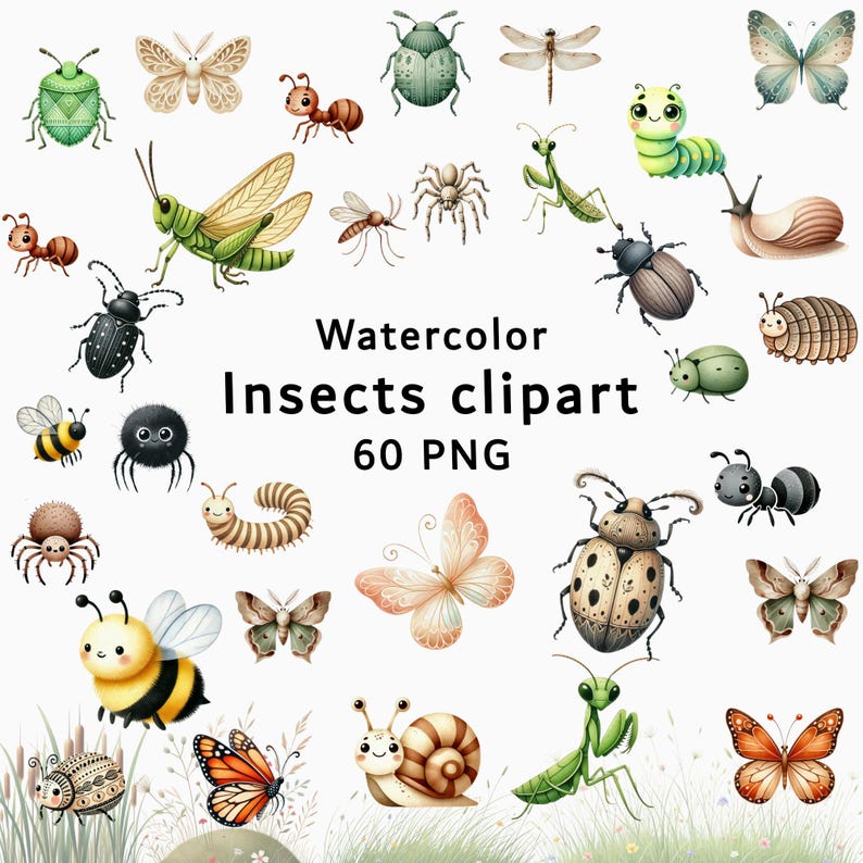 Watercolor Insect Clipart Bundle: Butterflies, Bees, Ladybugs PNG Files ...