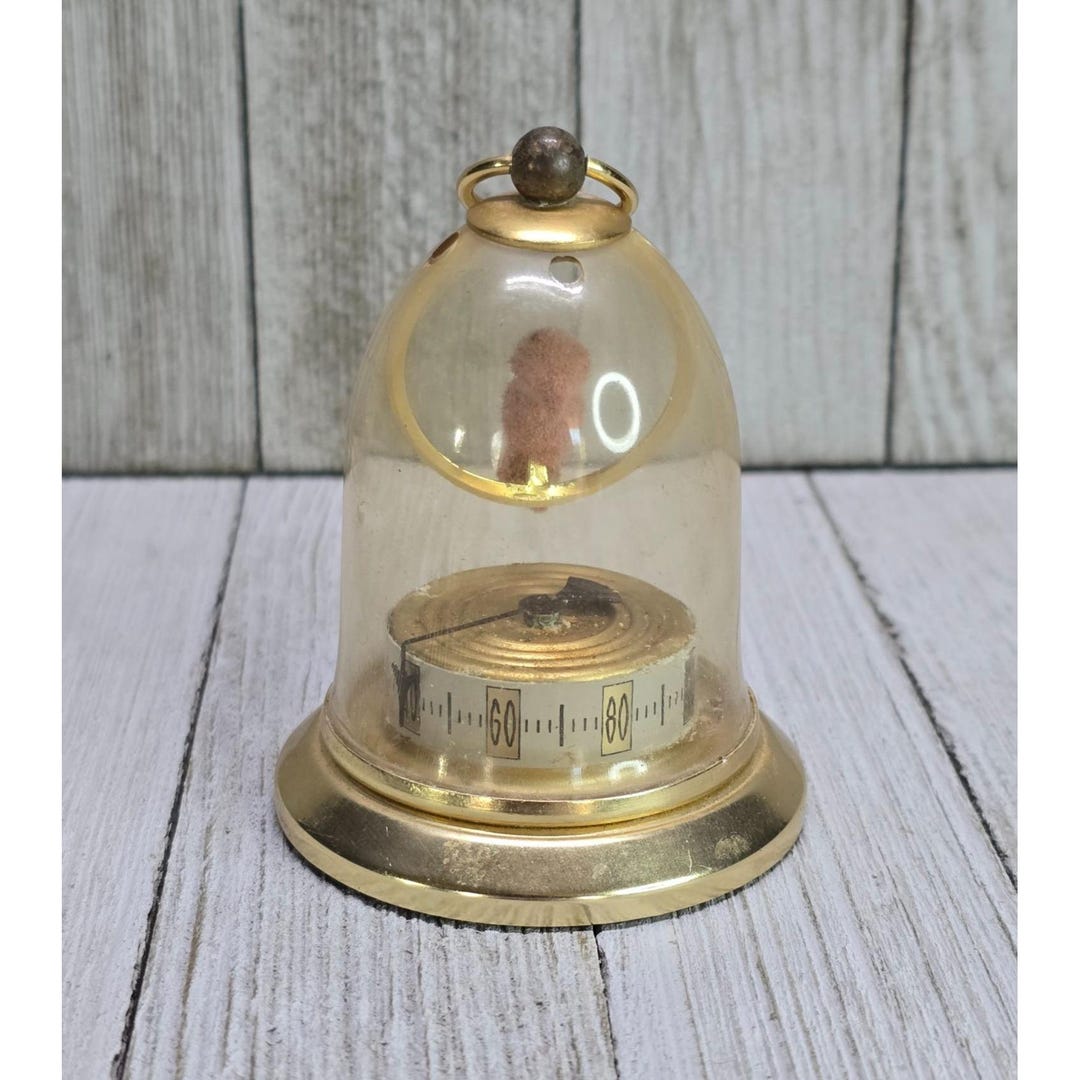 Vintage Antique Circa France Bird in Clear Dome Cage Thermometer Not ...