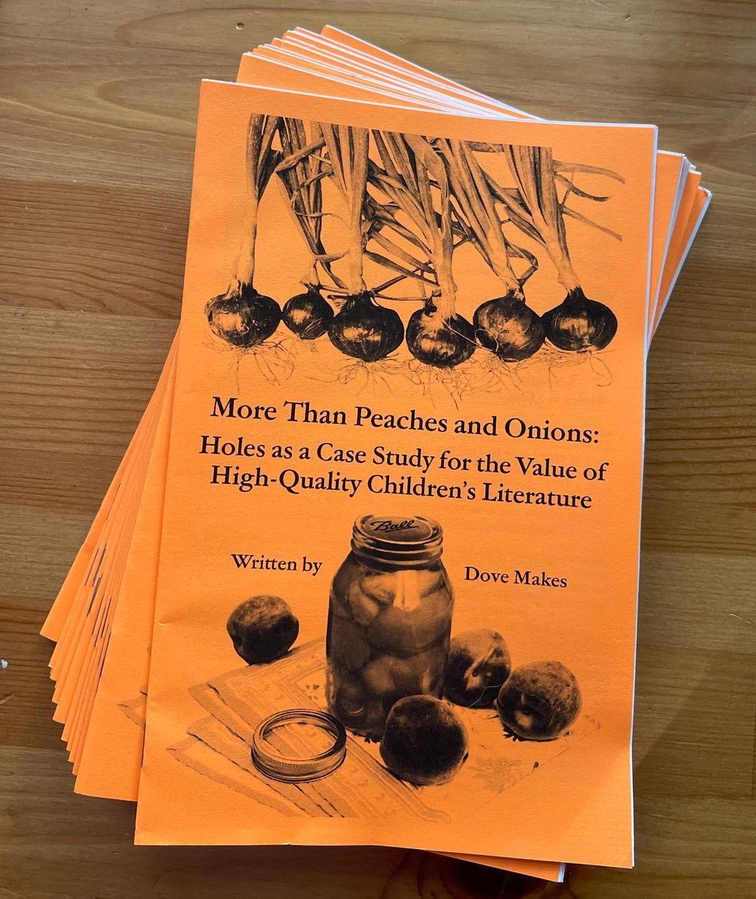 Holes Literary Analysis Zine: Children's Literature Case Study - Etsy