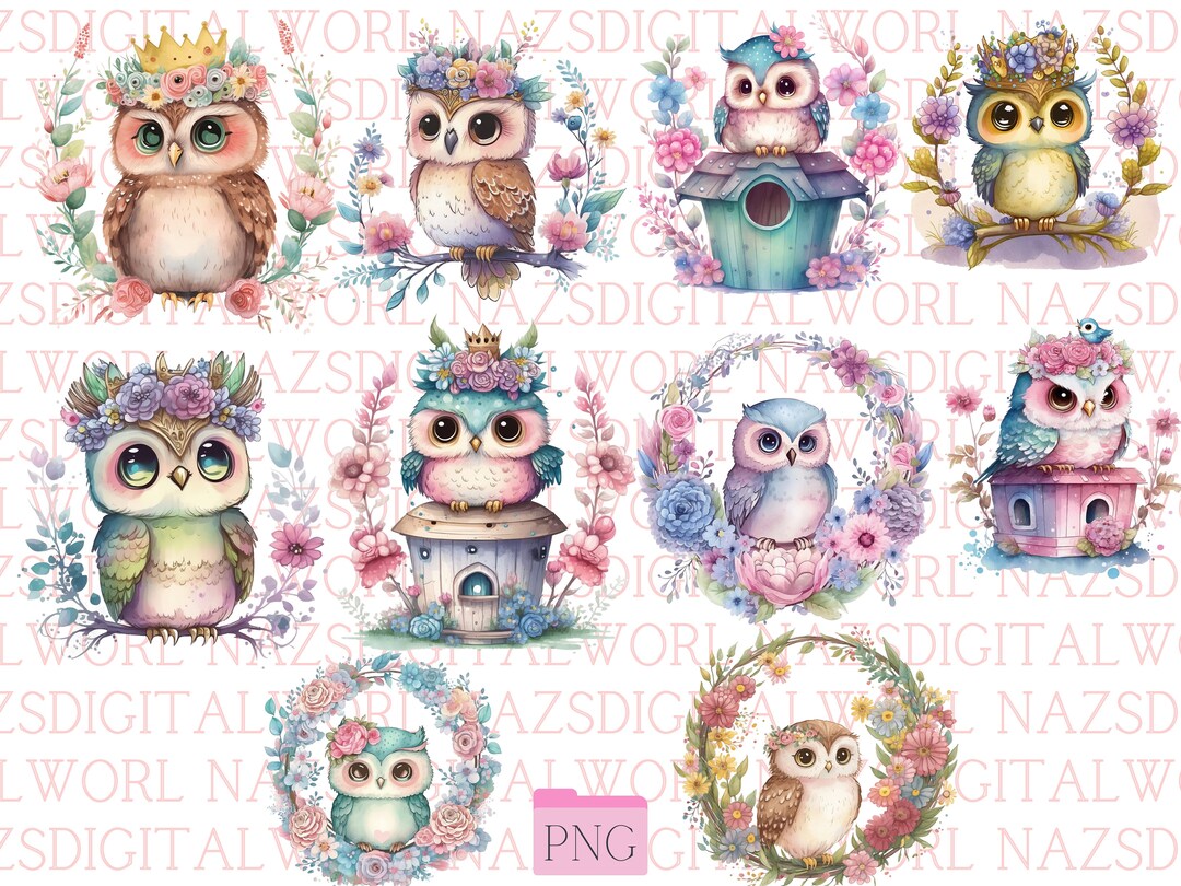 Colorful Cute Owl Clipart PNG Bundle, Watercolor PNG Files for ...